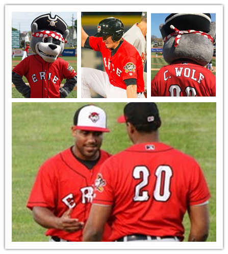 Mens Erie SeaWolves Custom Riley Greene Andre Lipcius Casey Mize Danny ...